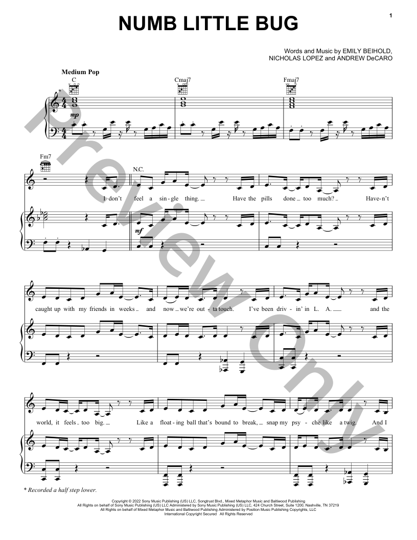 Numb Little Bug | J.W. Pepper