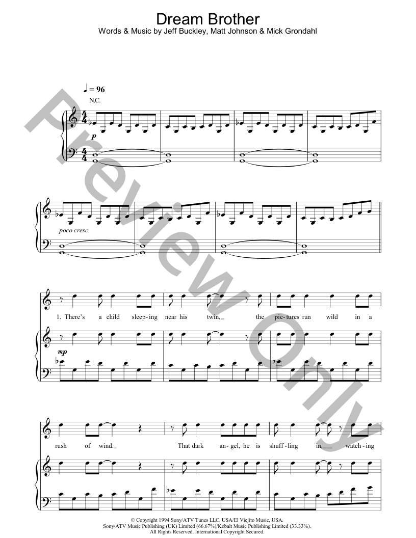 Dream Brother P/V/G Sheet Music | J.W. Pepper